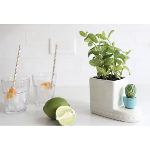 Nora Fleming | Dining | Nwt Nora Fleming Handpainted Cant Touch This ...